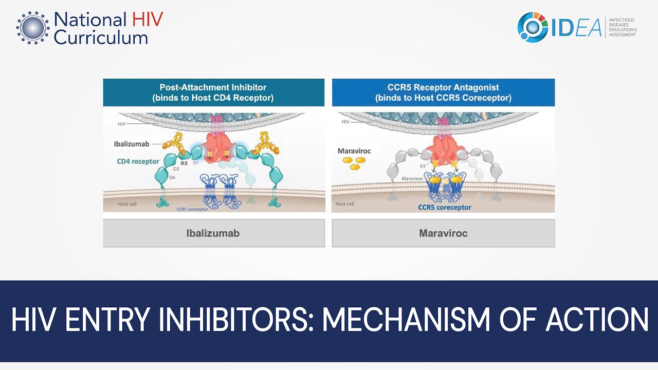Mini-Lecture Series: HIV Entry Inhibitors: Mechanism of Action - YouTube