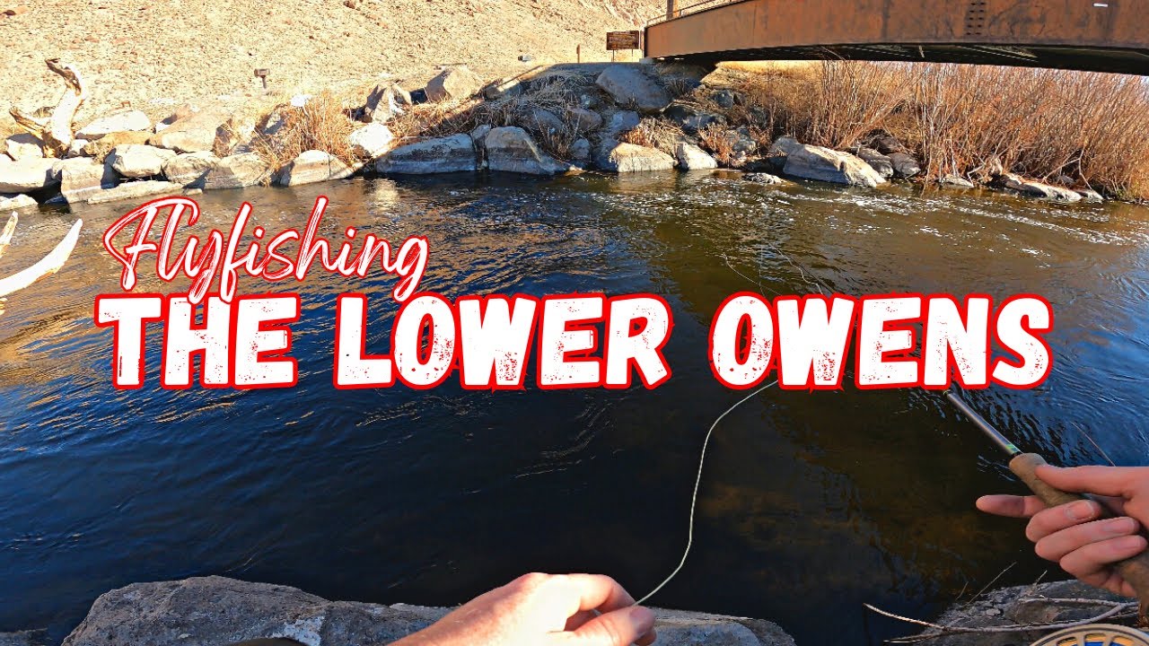 FLY FISHING The Lower Owens River [Bishop, CA] - YouTube