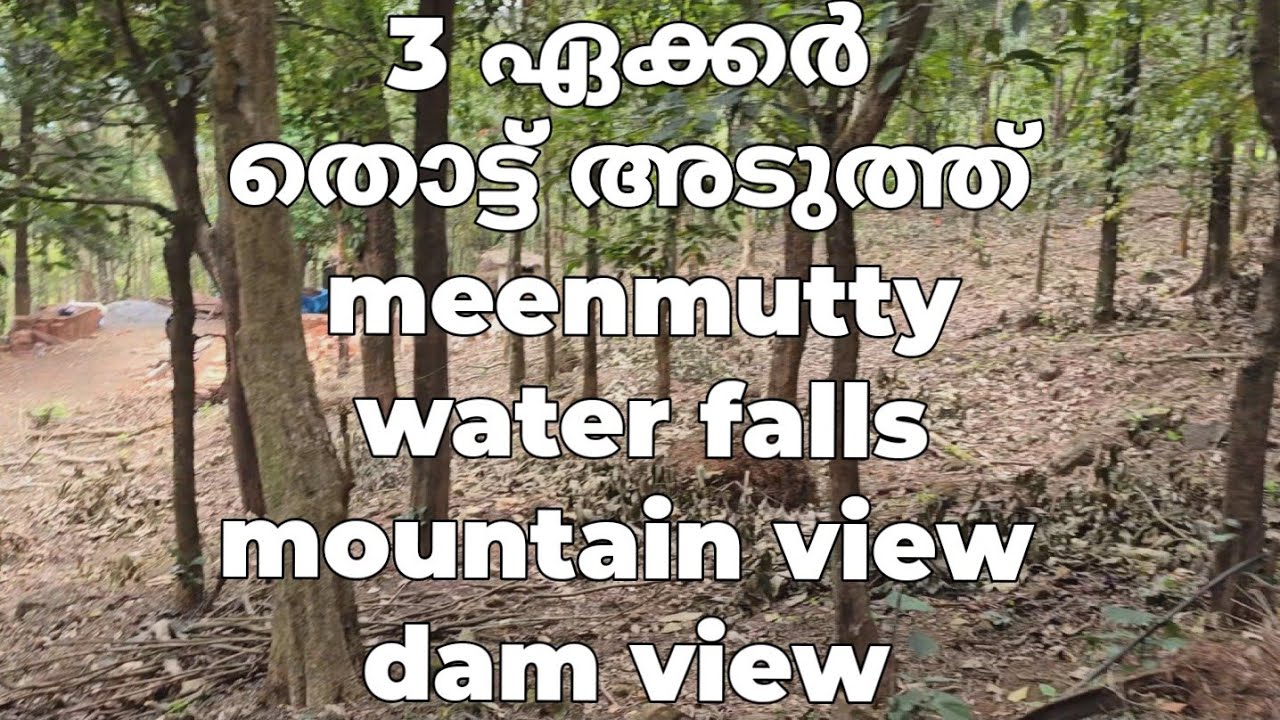 3 acre land for sale in wayanad - YouTube