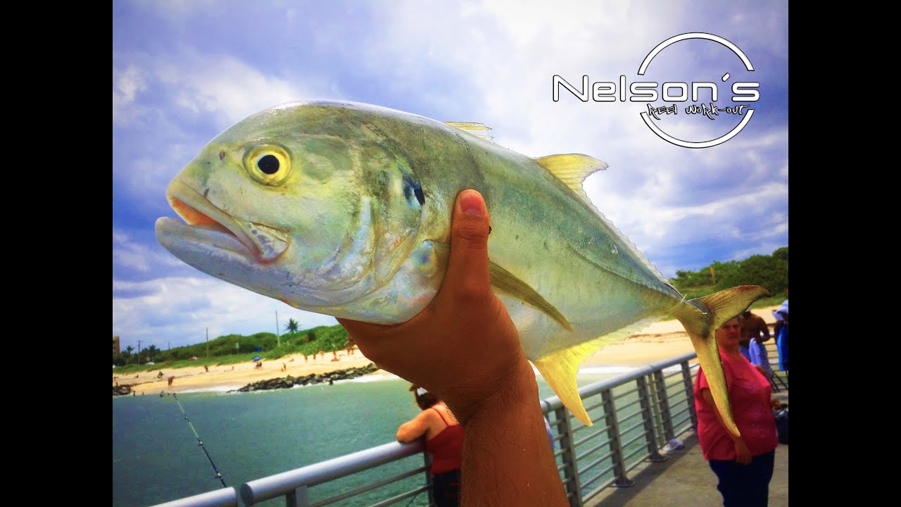 Fishing for Pompano, Jacks and Bluerunners. - YouTube