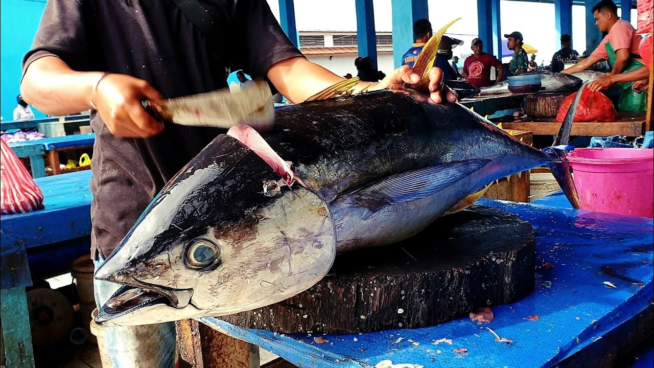 MENAKJUBKAN! Parang pemotong ikan Abang Iwan memotong tuna sirip kuning ...
