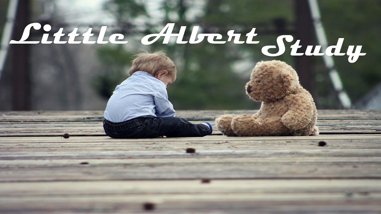 Little Albert Study - YouTube