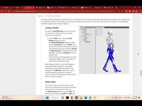 OpenSim Software Plotting Graphs (Tutorial 1) - YouTube