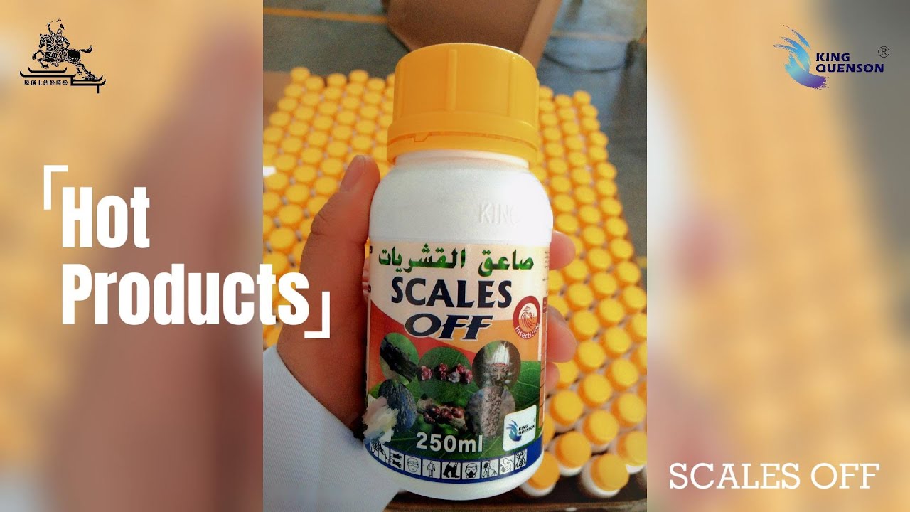 SCALES OFF - A Cost-effective Solution to Against Scale Insects ...