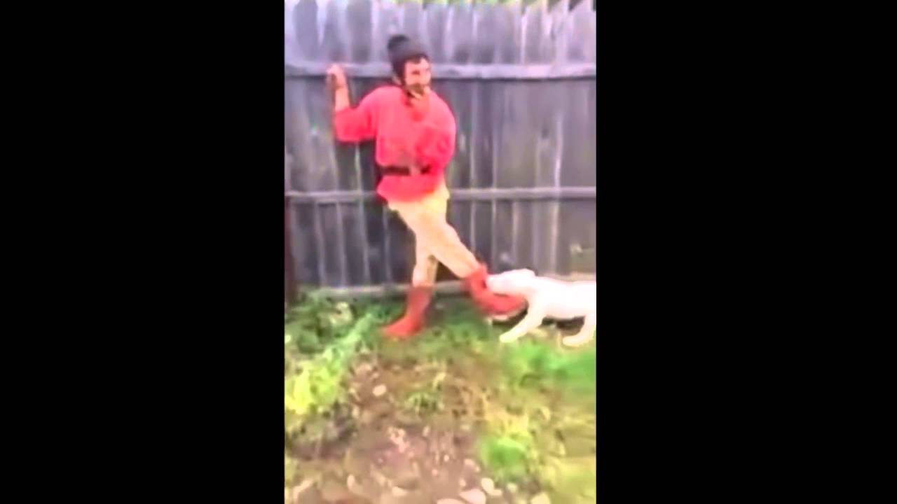 Cristi, Ba Cristi! - cele mai tari faze! - YouTube