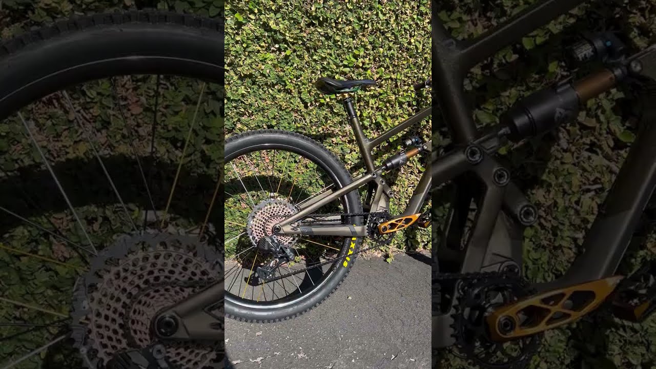 This Custom Revel Rail 29 Is A Work Of Art - YouTube