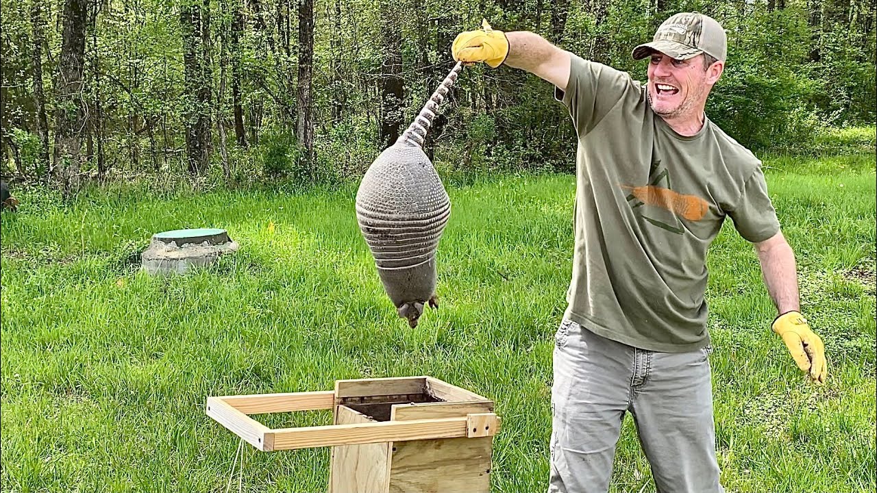 How to catch armadillos - YouTube