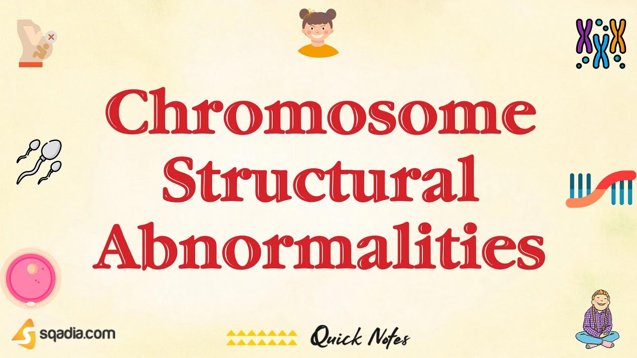 Chromosome Structural Abnormalities | Introduction | Medical Genetics ...