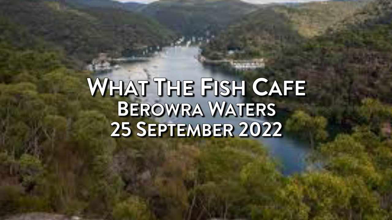 What The Fish Cafe Berowra Waters 25 Sep'22 - YouTube