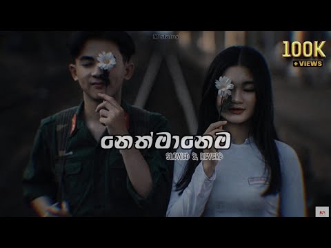 Neth Manema (නෙත් මානෙම)- 🖤🎶(Slowed+Reverb)+lyrics // M Status #dilubeats