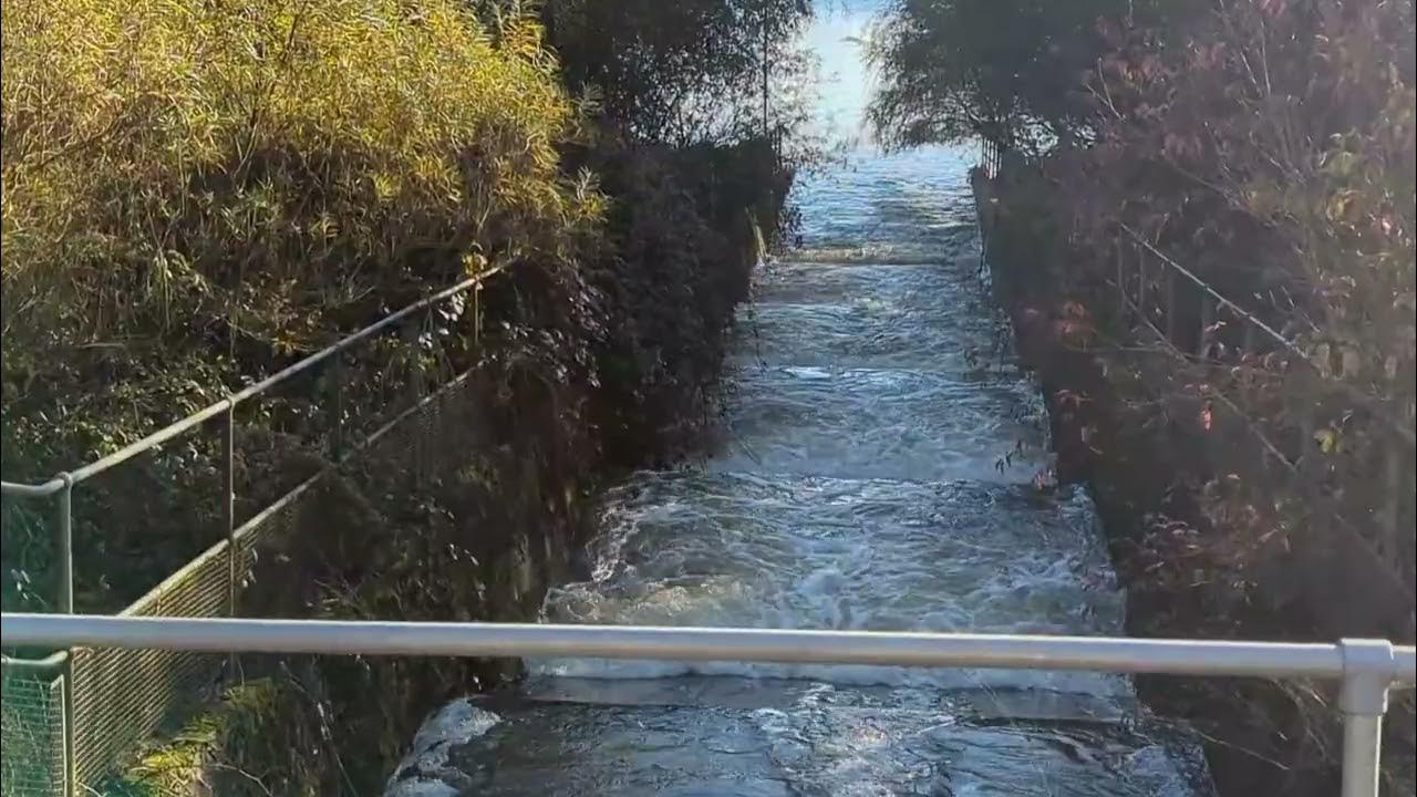 A Walk Around Draycote Water Part 2 - YouTube