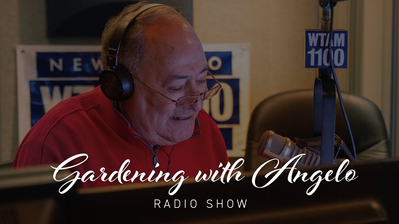 PETITTI | Gardening with Angelo Radio Show - YouTube