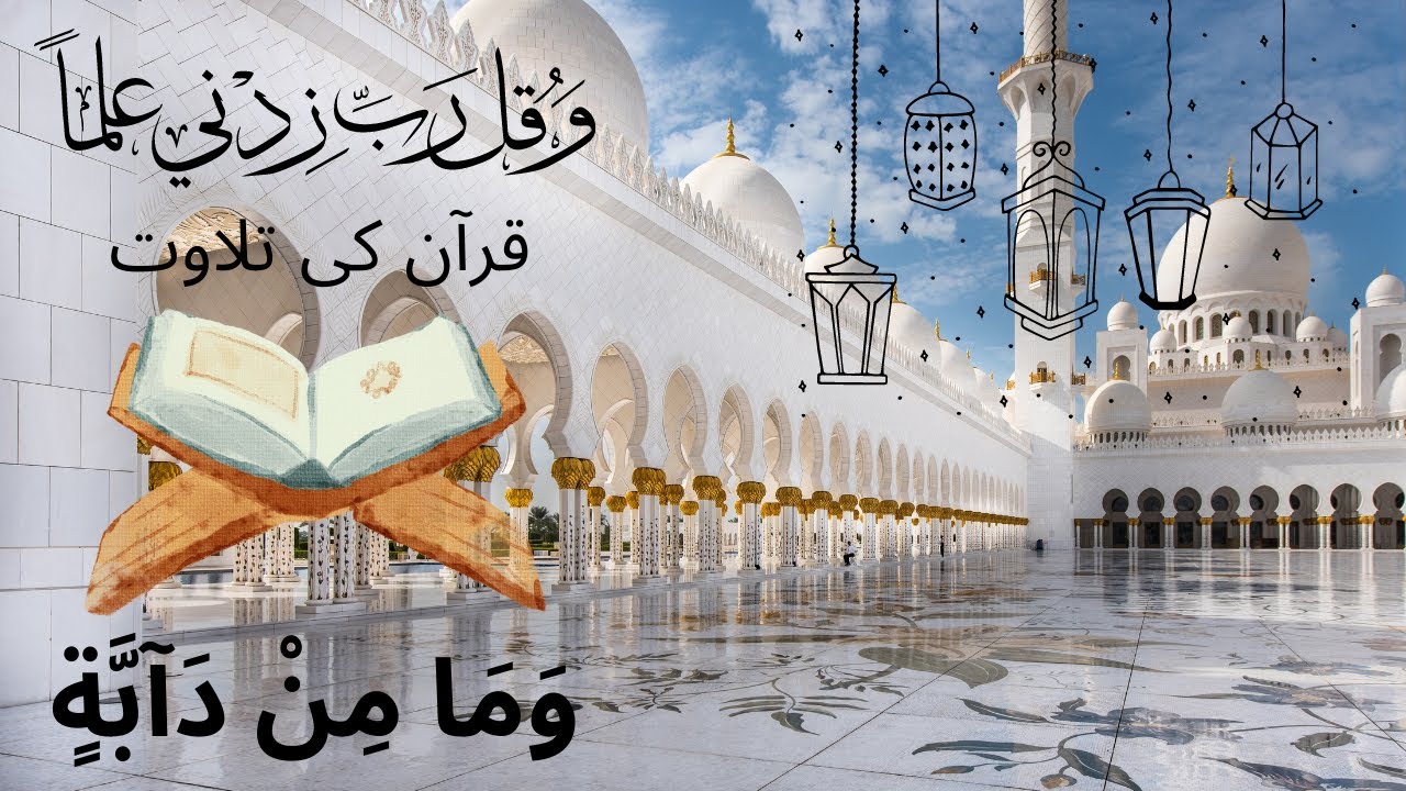 Complete Quran Series With Juzz Wise || Juzz 12 || وَمَا مِنْ دَآبَّةٍ ...