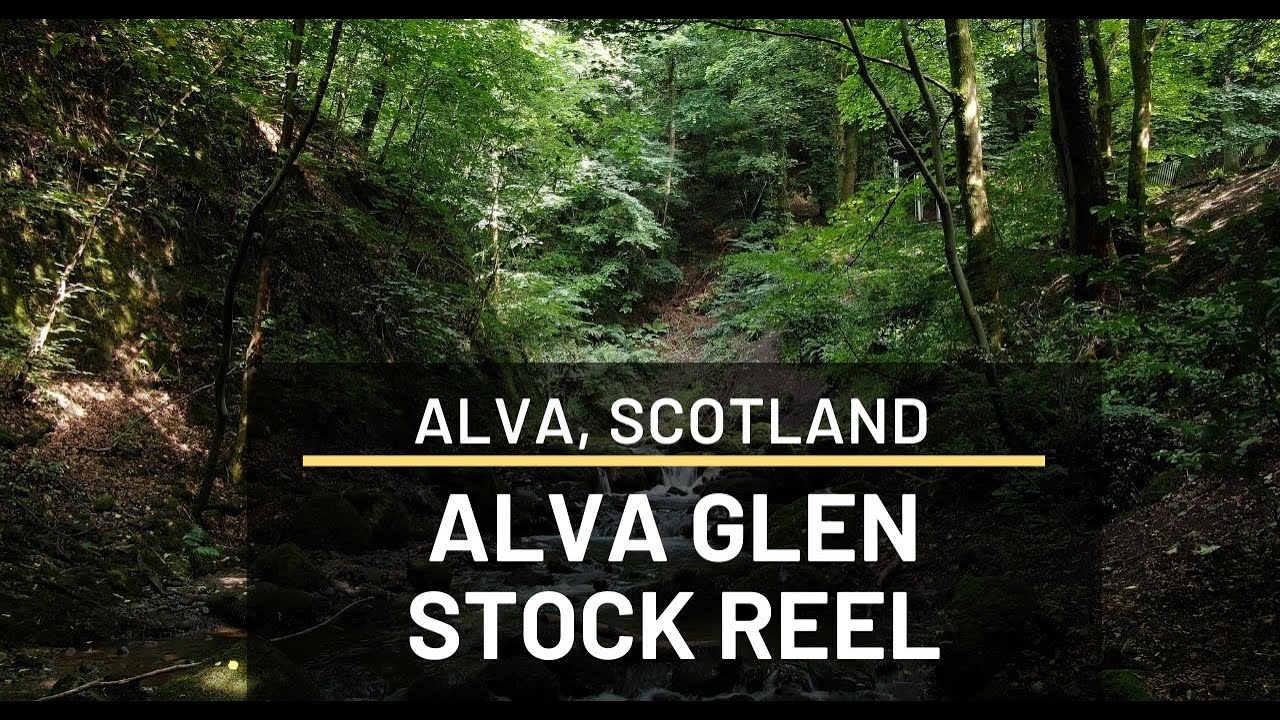 Alva Glen Stock Reel - YouTube