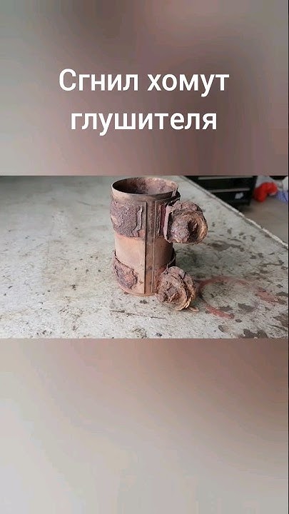 Фольксваген Поло Низко рычит двигатель VW polo Одна из причин Хомут ...