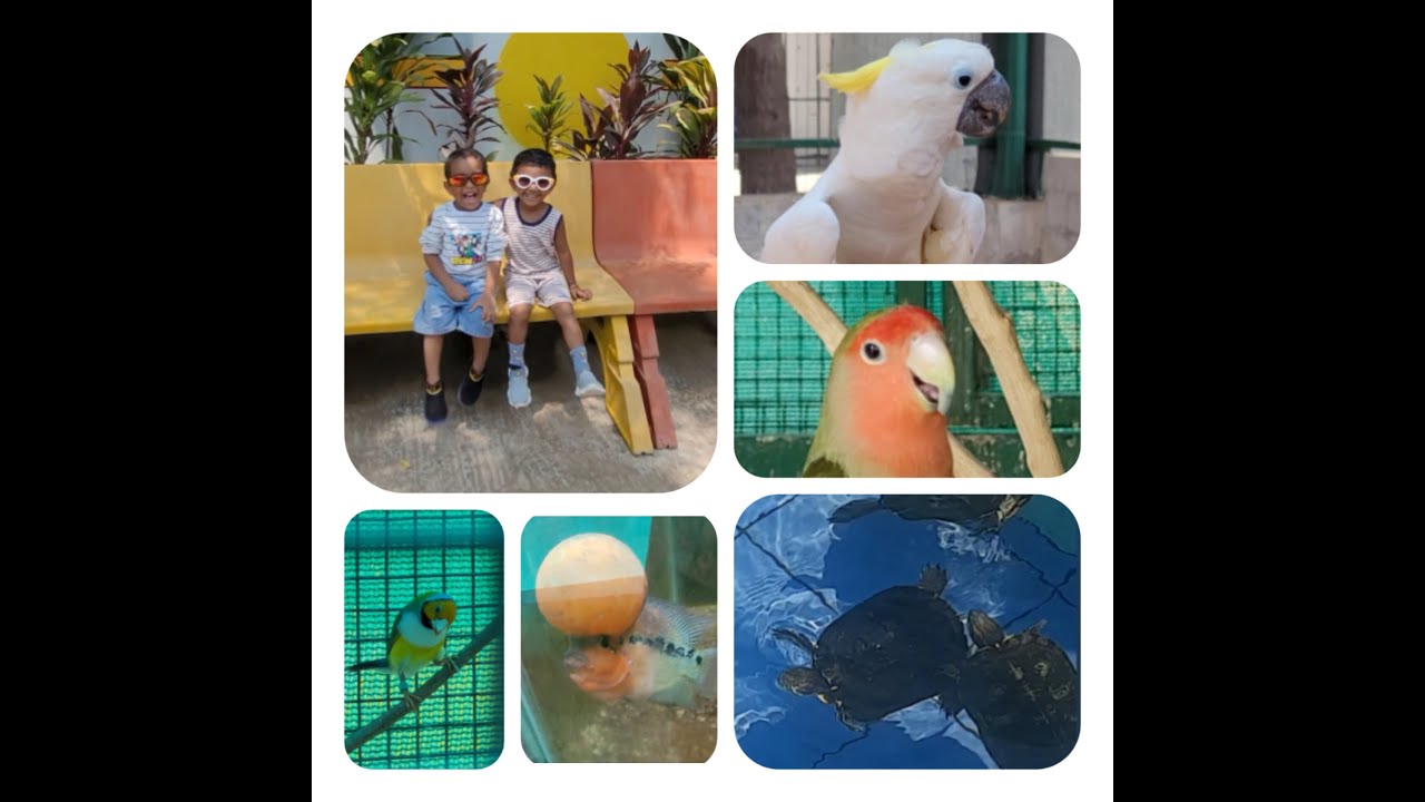 Garuda park || Tourist spot at Pondicherry || Whats special in ...