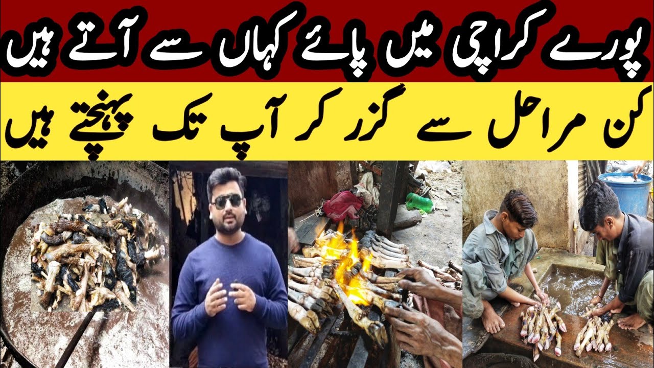Paya Factory In Karachi | Beef Paya mutton paya holsale rates | Karachi ...