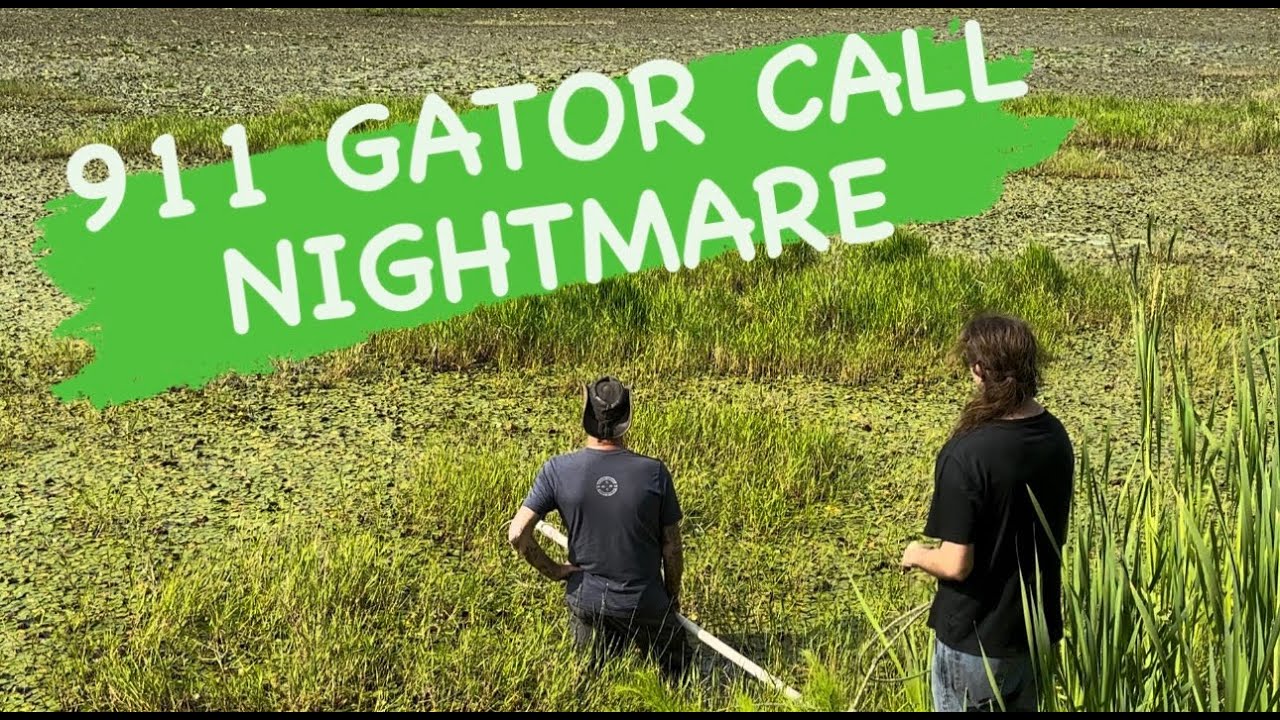 911 GATOR CALL NIGHTMARE #gatorcall #gators #nightmare - YouTube