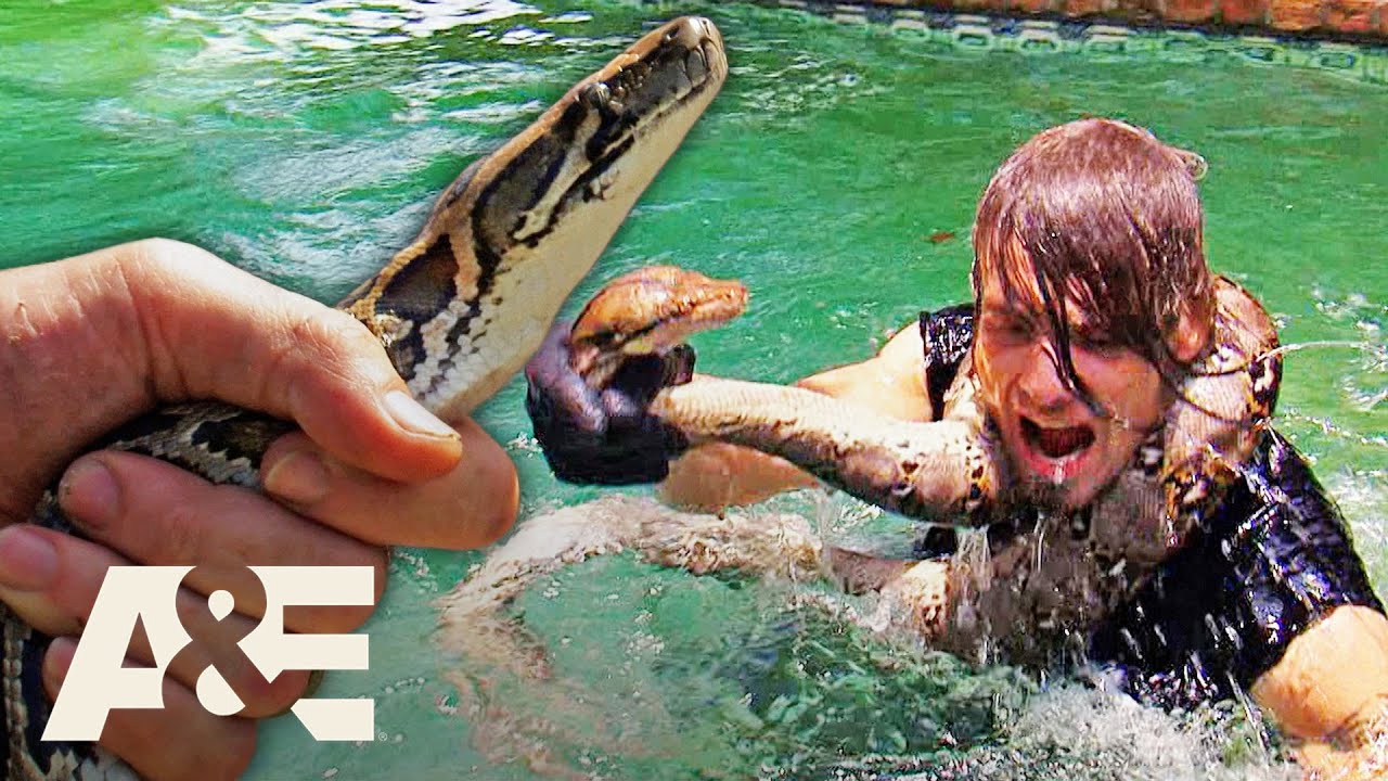 Top 3 PYTHON Captures | Billy the Exterminator | A&E - YouTube