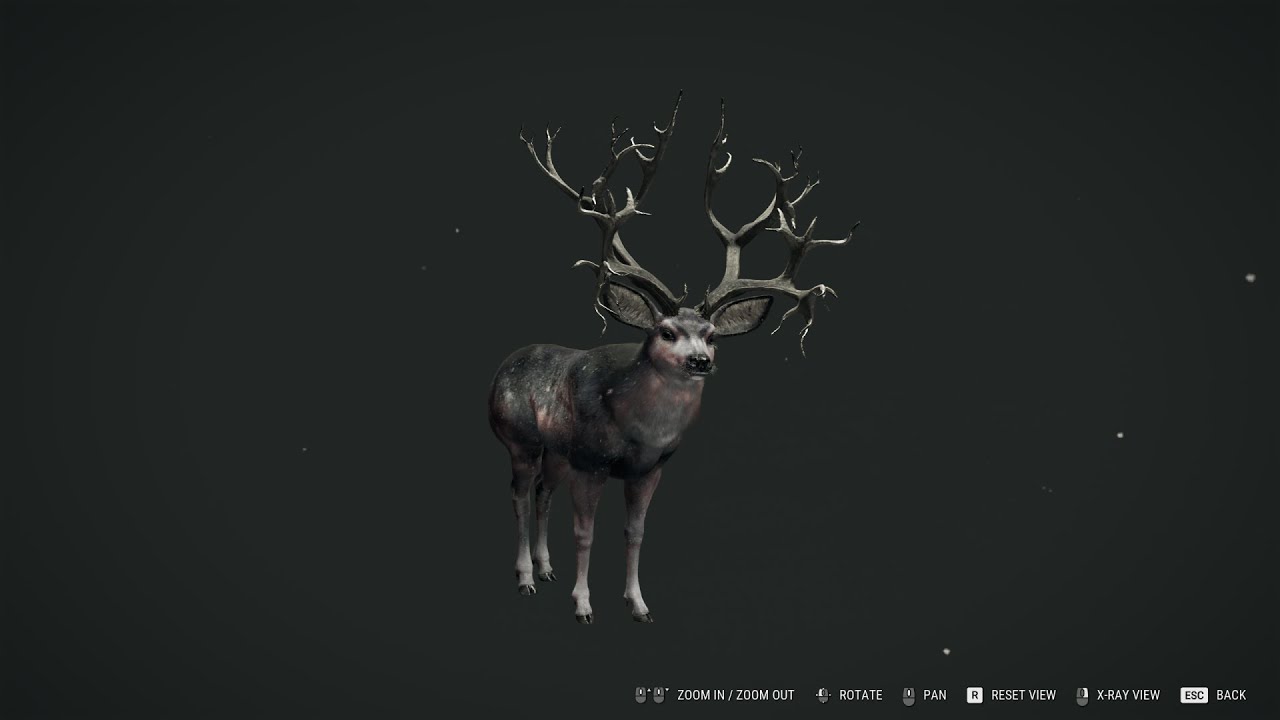WITH MODS MULEY GREAT ONE OVER 644" WITHOUT USING WEMOD THEHUNTER COTW ...