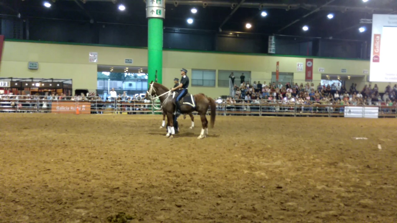 Cavalry mounted police Buenos Aires equine acrobatics nuestros caballos ...