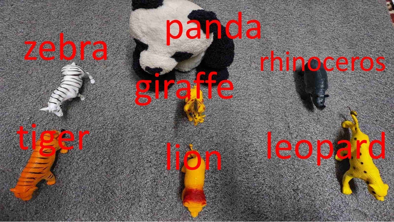 Learn animals and colours | Educational videos || English Lesson 4 ...