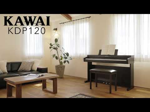Kawai KDP120 Digital Piano Introduction | Kawai KDP Series