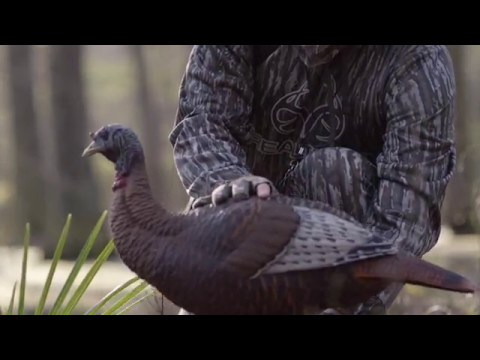 Realtree Original Turkey Hunting Commercial - YouTube