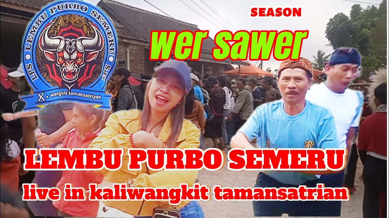 LEMBU PURBO SEMERU 💥 SEASON WER SAWER LIVE IN KALIWANGKIT TAMANSATRIAN ...