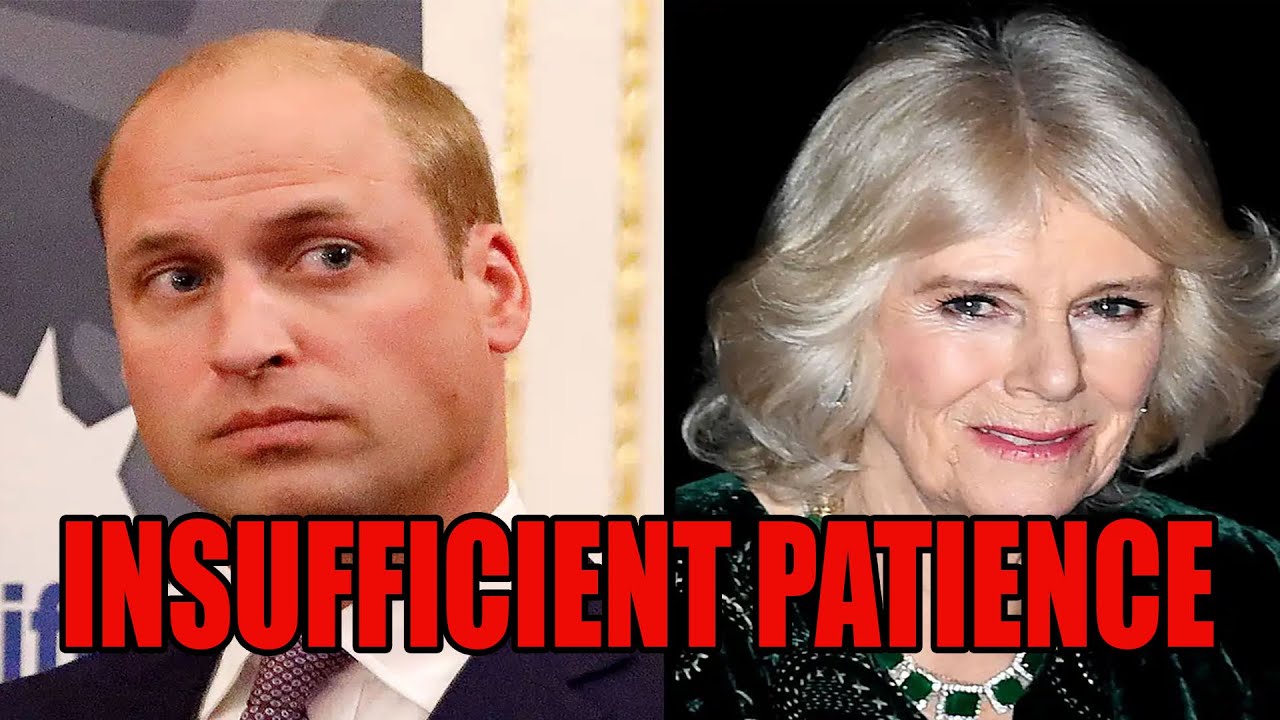 Insufficient Patience: William DESTROYS Evil Stepmother Camilla a ...