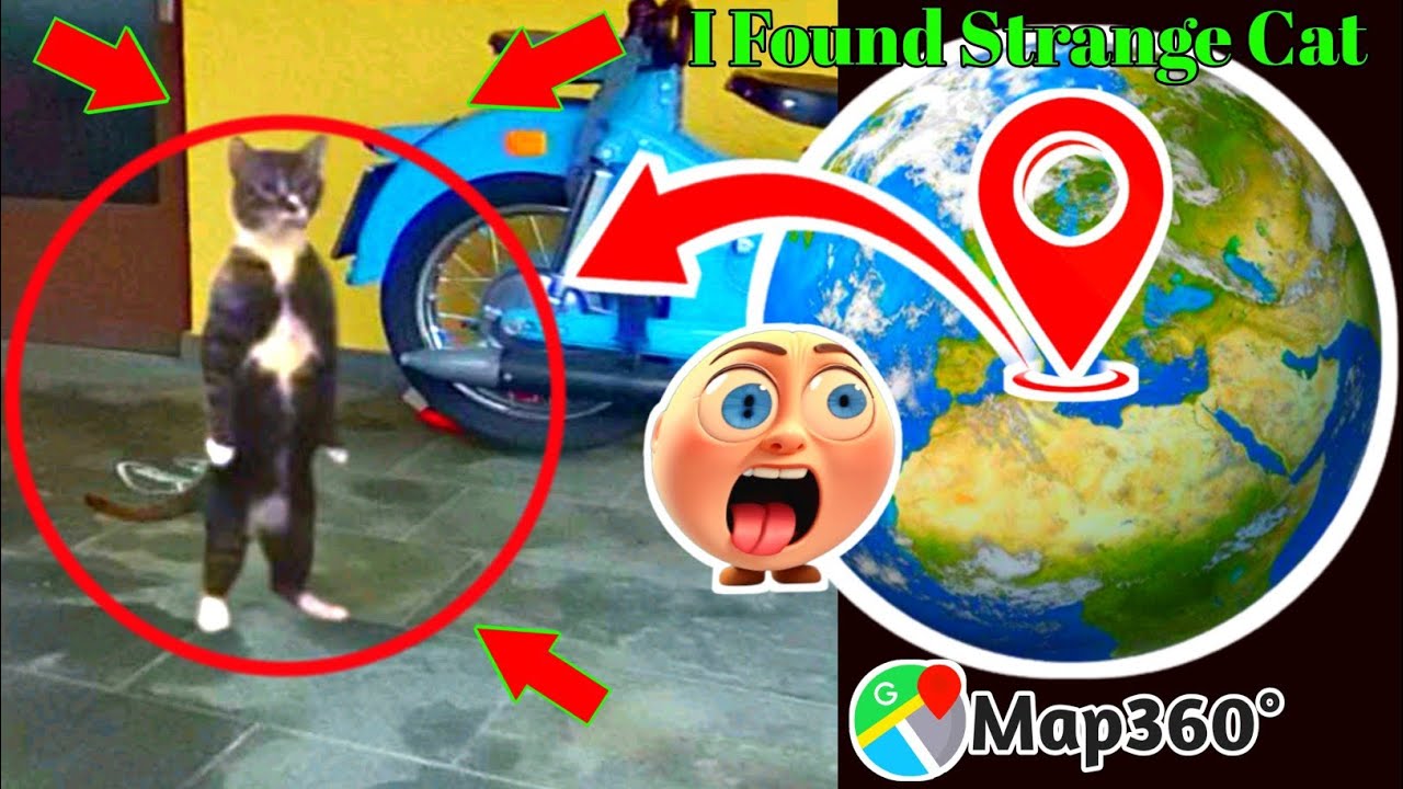I found strange cat sculpture on google maps and google earth 🌎 #viral ...