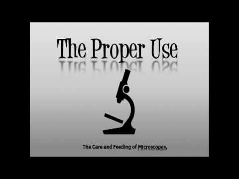 Microscope - Learn the Proper use of the Microscope - YouTube