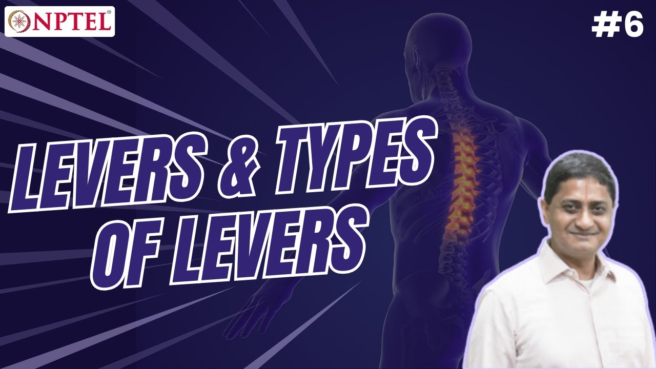 #6 Levers & Types of Levers | Biomechanics - YouTube