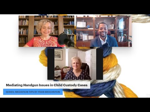 Mediating Handgun Issues in Child Custody Cases With Fran Brochstein ...