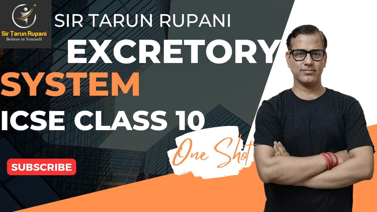 The Excretory System | ICSE Class 10 | The Excretory System One Shot ...