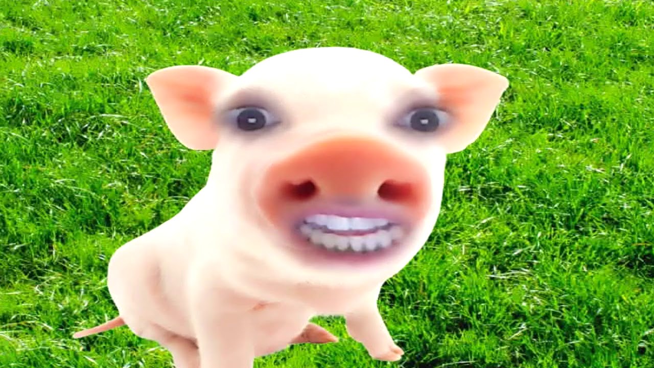 Dr. Pig Critiques the Anti-Psychiatry Movement (Dr. Pig the ...