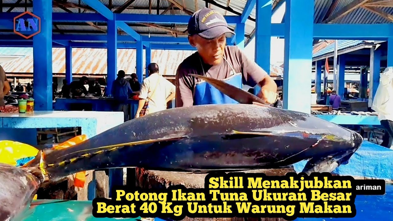 Skill Menakjubkan Potong Ikan Tuna Ukuran Besar Berat 40 Kg Untuk ...