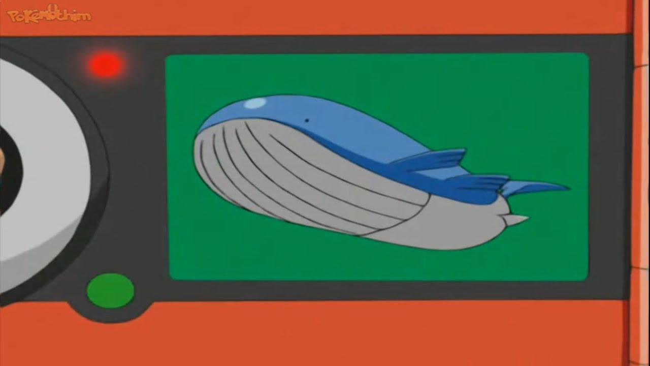 Pokedex #321 Wailord - YouTube