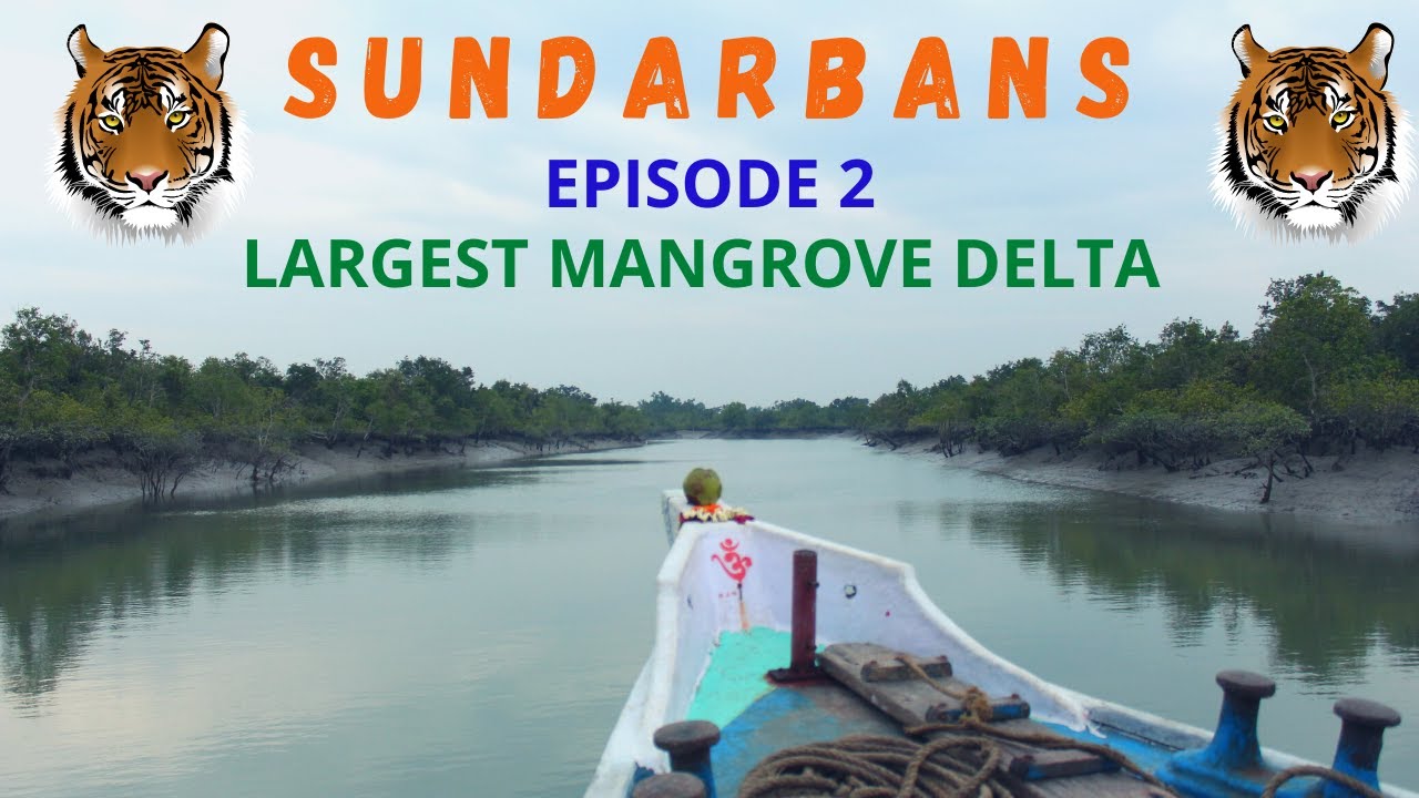 SUNDARBANS TOUR INDIA | Sundarban Vlog |Sundarban Delta 3Days 2Nights ...