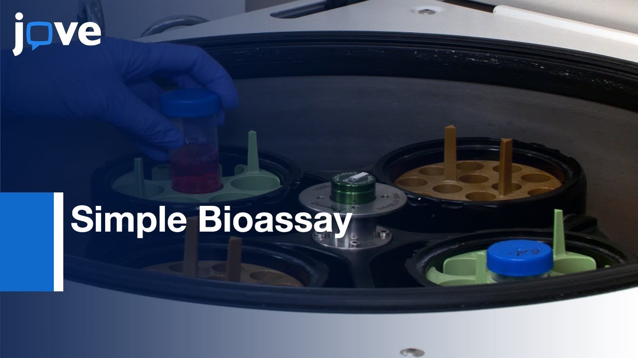 Simple Bioassay For Evaluation: Vascular Endothelial Growth Factors l ...