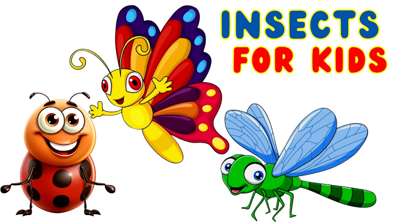 Insects for Kids | Toddlers | Best Learning Video | Babies | 3d | KG ...