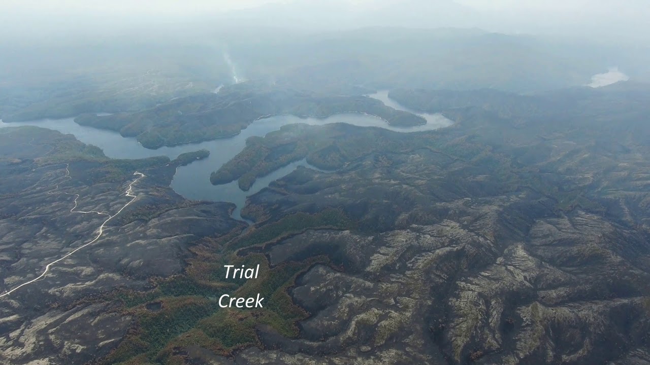 Wandering Foxbat - Bushfire Aftermath near Zeehan - YouTube