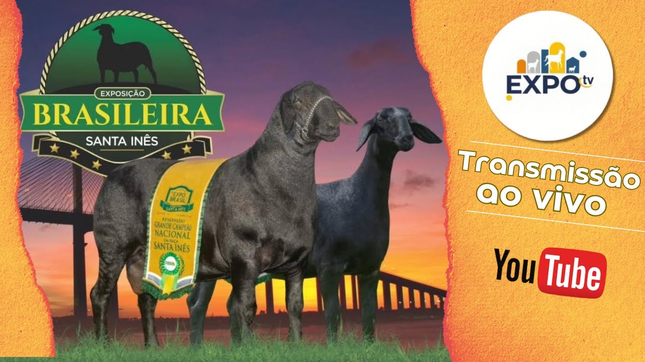 EXPOTV AO VIVO | EXPOSIÇÃO BRASILEIRA SANTA INÊS | PARNAMIRIM - RN ...