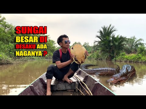 6 HARI CARI IKAN DAN MAKANAN DI HUTAN PINGGIR DESAKU NIKMATNYA TINGGAL DI DESA😅 #bocahpecicilan
