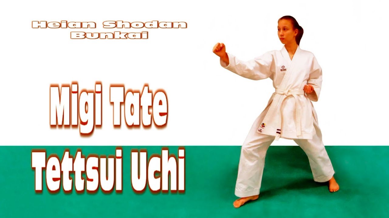 DrobyshevskyKarateSystem:Heian Shodan-Combat Bunkai-4-Tate Tettsui Uchi ...