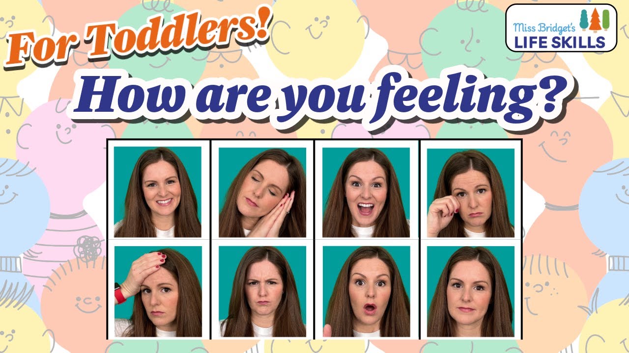 Miss Bridget's Feelings Check In for Toddlers - Preschool Learning ...