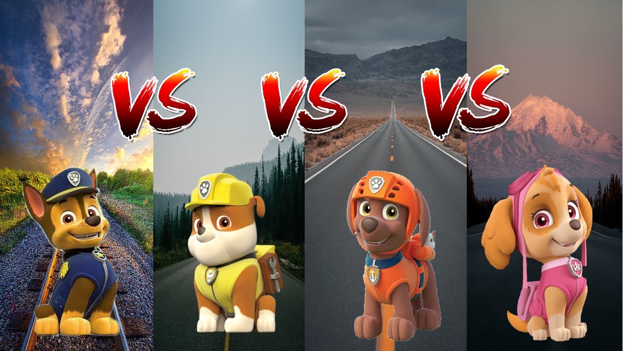 (Paw Patrol Fight) Paw Patrol 1 🆚 Paw Patrol 2 🆚 Paw Patrol 3 🆚 Paw ...