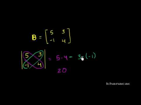 2x2 Matrisin Determinantı (Kalkülüs / Matrisler)