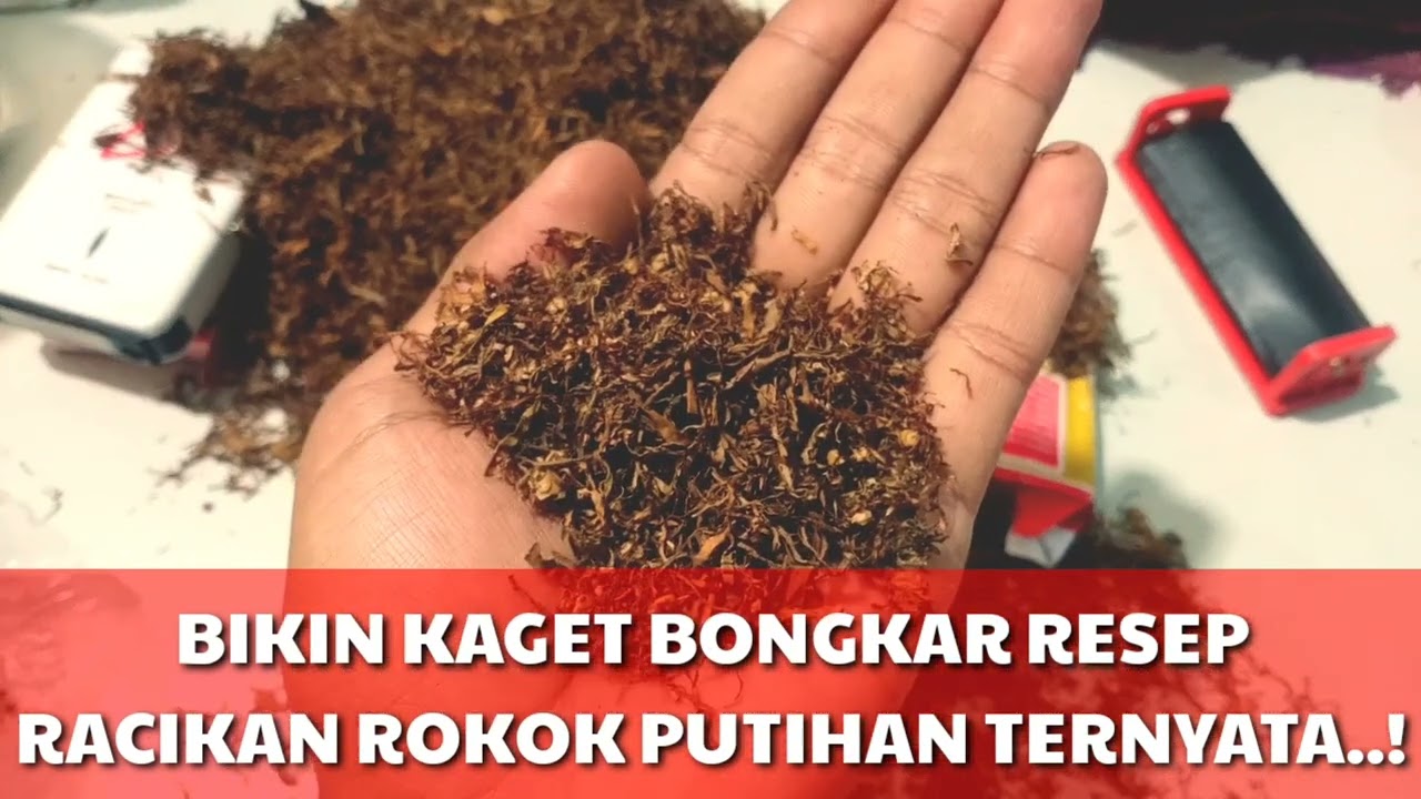 Resep Rahasia Rokok Pabrikan - Tembakau Daun Talas #tingwe #tengwe ...