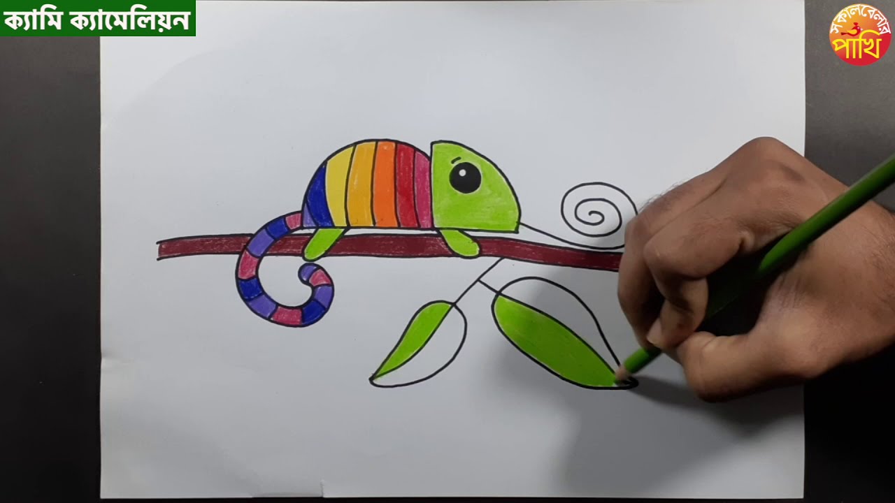 How To Draw A Chameleon // Step By Step Drawing // Sokal Belar Pakhi ...